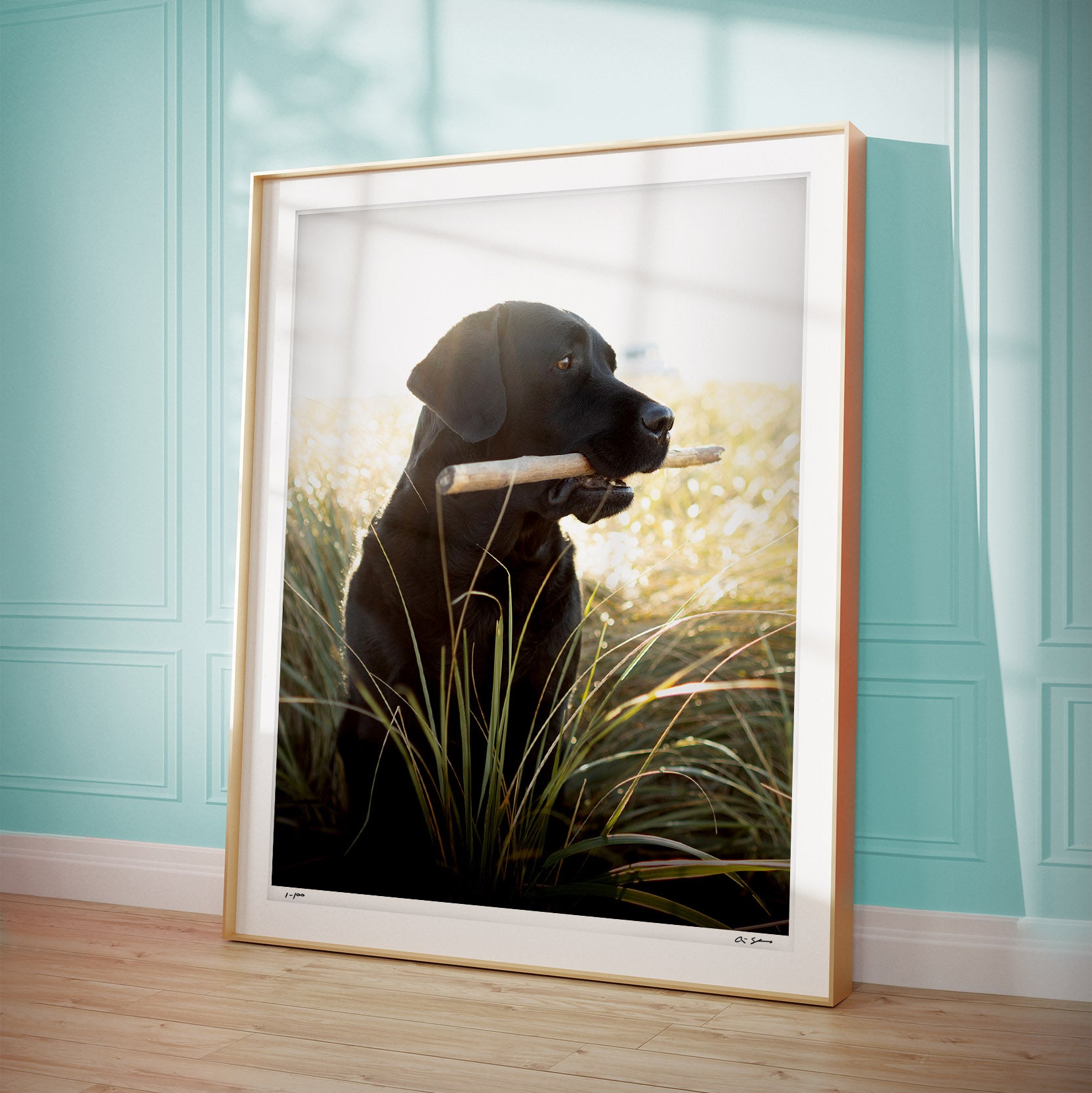 Official Ron Schmidt Print Shop - Exclusive Limited Edition Dog Art ...