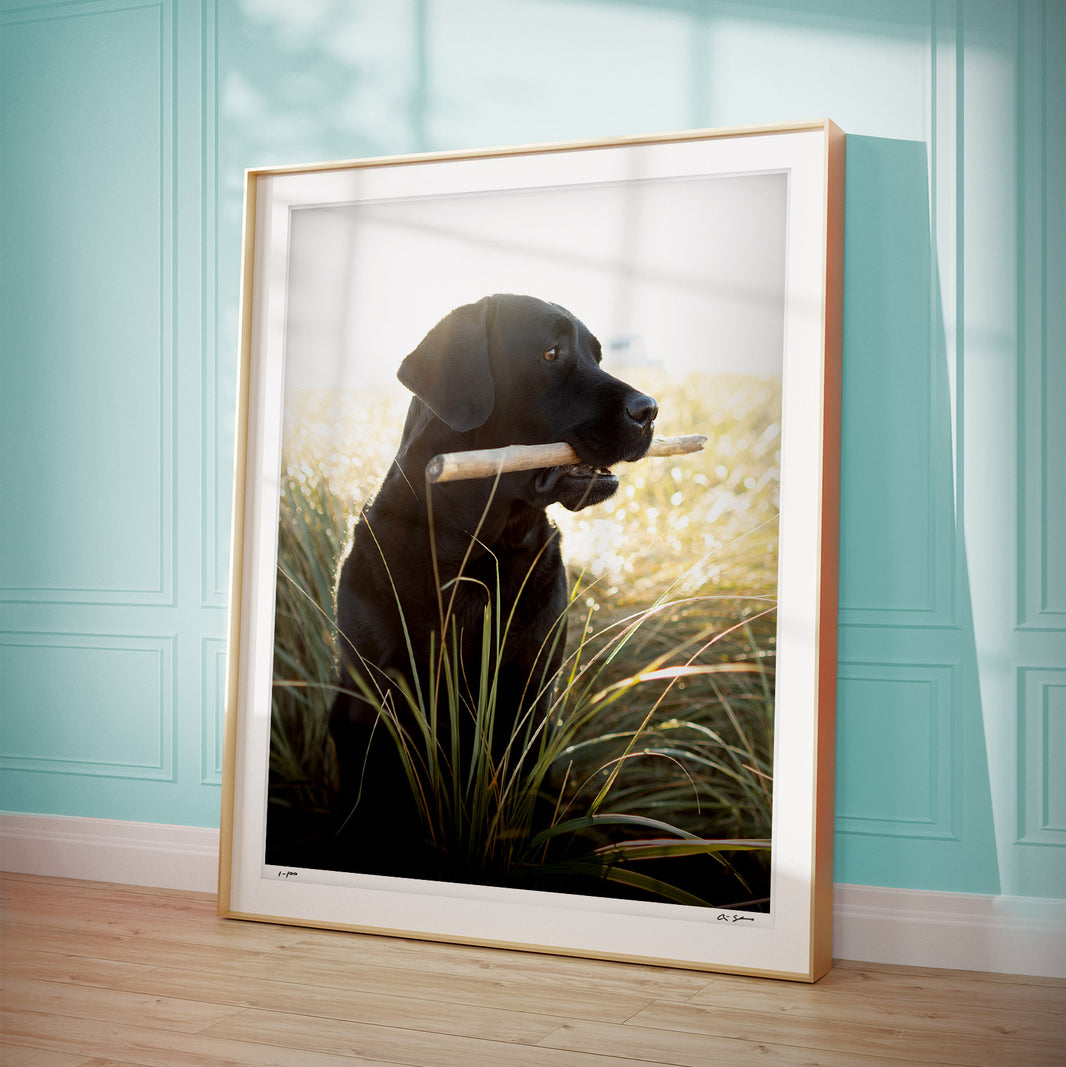 Official Ron Schmidt Print Shop - Exclusive Limited Edition Dog Art ...