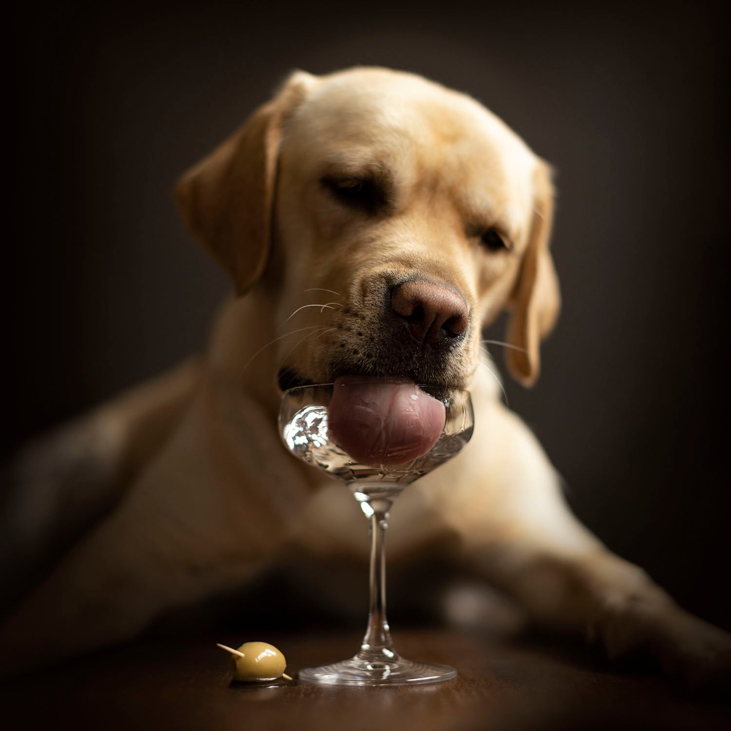 Official Ron Schmidt Print Shop - Exclusive Limited Edition Dog Art ...