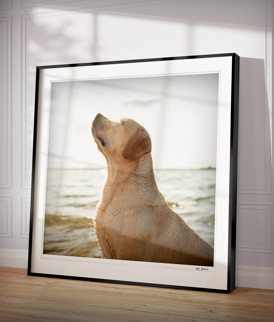 Main Collection – Ron Schmidt Art