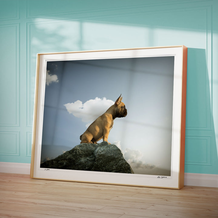 Products – Ron Schmidt Art