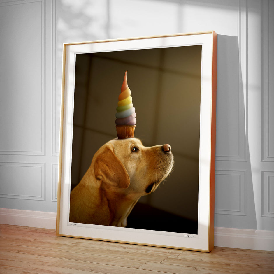 Main Collection – Ron Schmidt Art