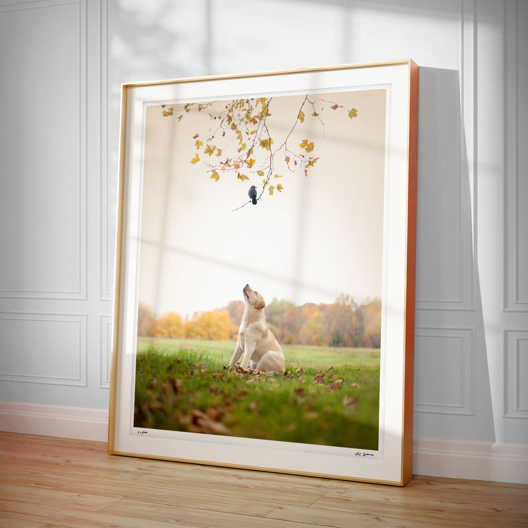 Main Collection – Page 5 – Ron Schmidt Art